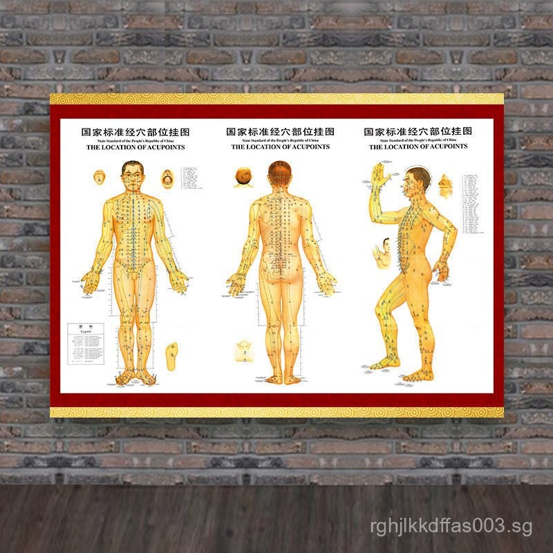 Human Body Acupoint Map Large Hanging Diagram Whole Body Meridian ...