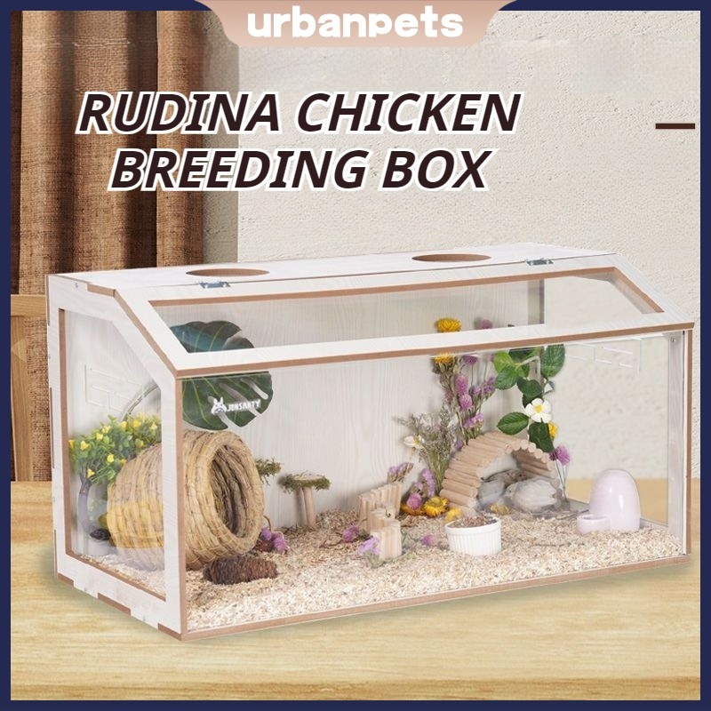 Rutin Chicken Breeding Box Quail Parrot Special Cage For Brooding And ...
