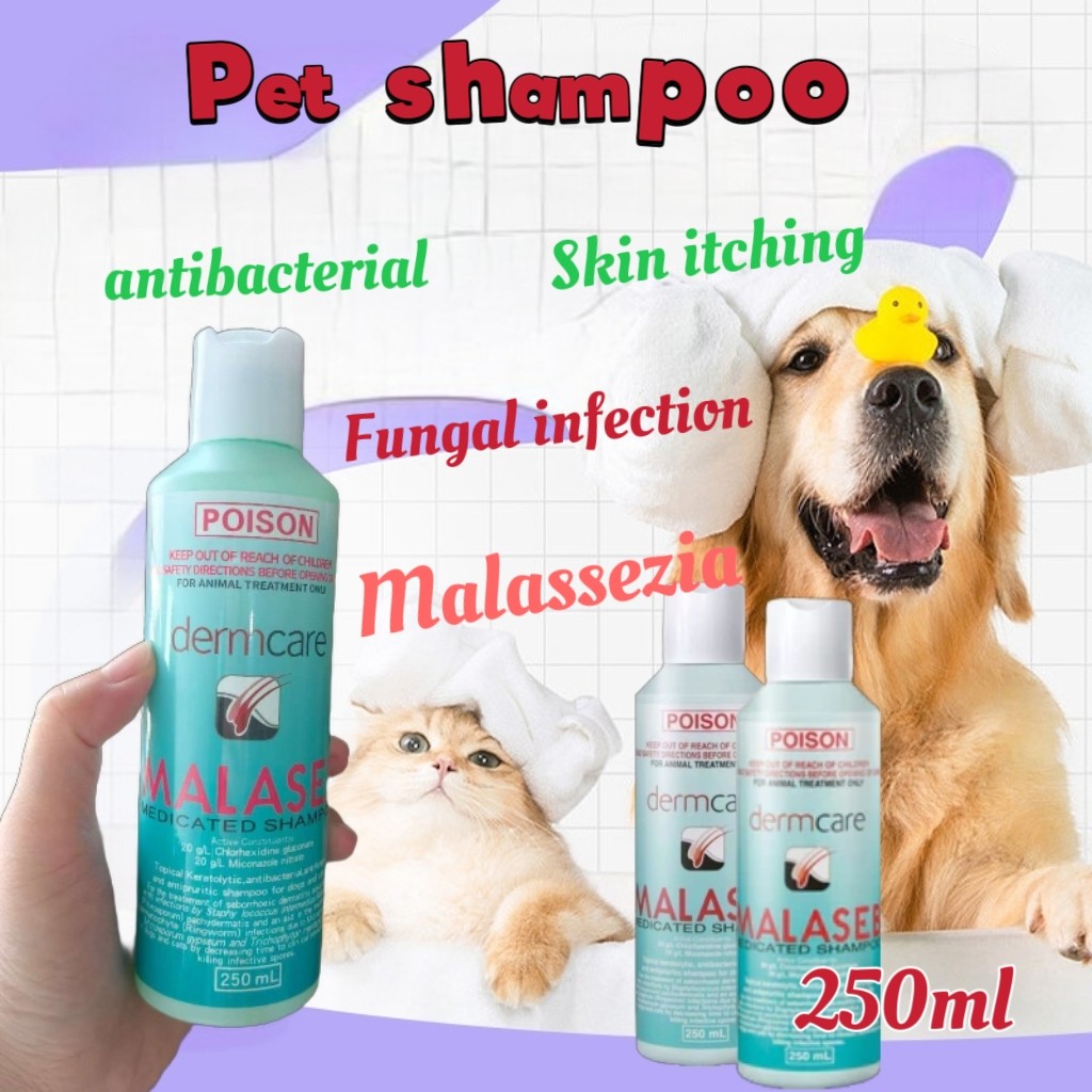 （buy 2 get 1） Malaseb Medicated Dog Shampoo / Cat Shampoo / Dog Shampoo ...