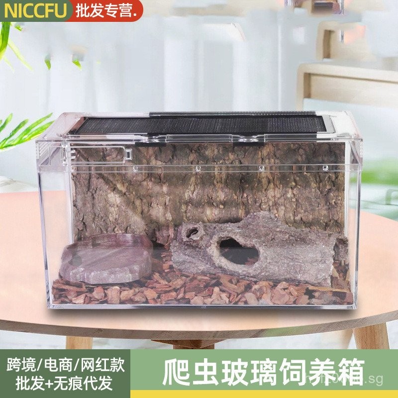 NC Reptile Pet Gecko Blue Tongue Lizard Centipede Spider Scorpion ...