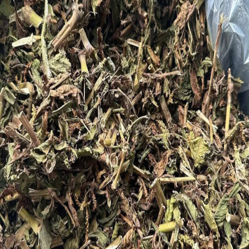 Dried Ringworm (Wild Ringworm, Water Treatment, Ringworm, Water Willow ...