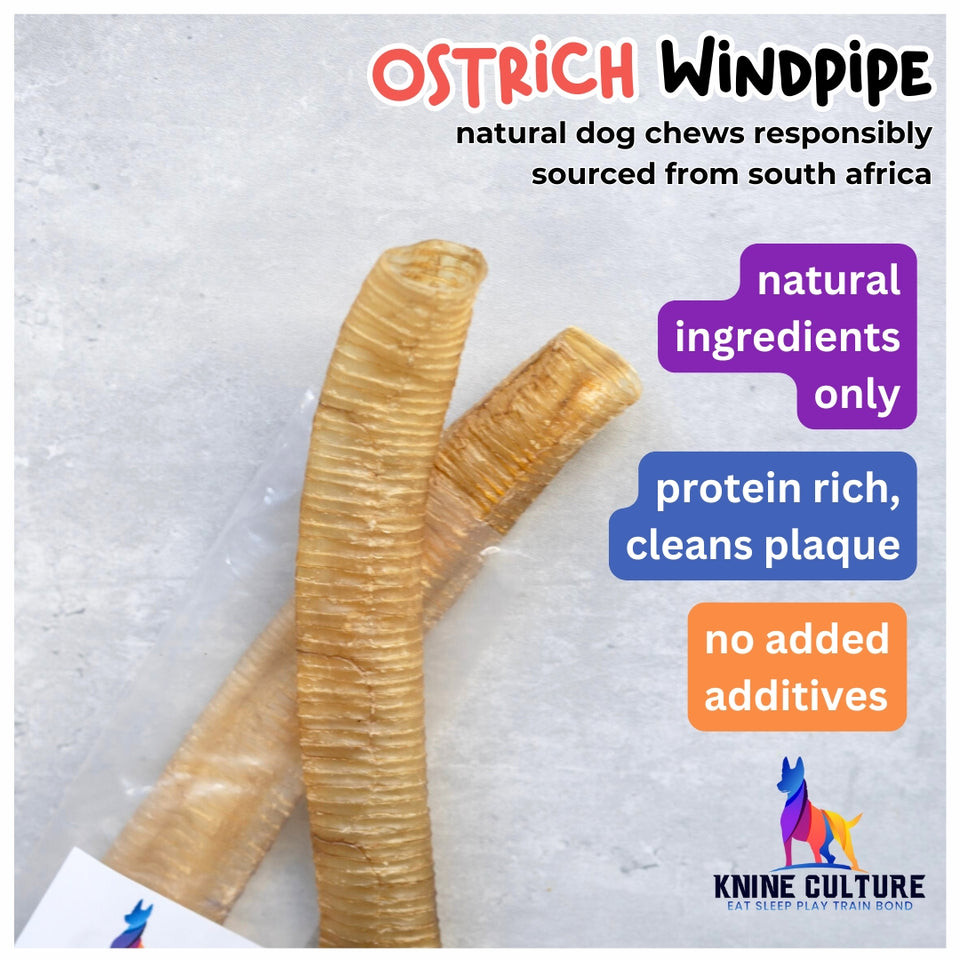 Ostrich Windpipe (Trachea) (Pack of 2 | 30cm Each)) (Air Dry, Dental ...