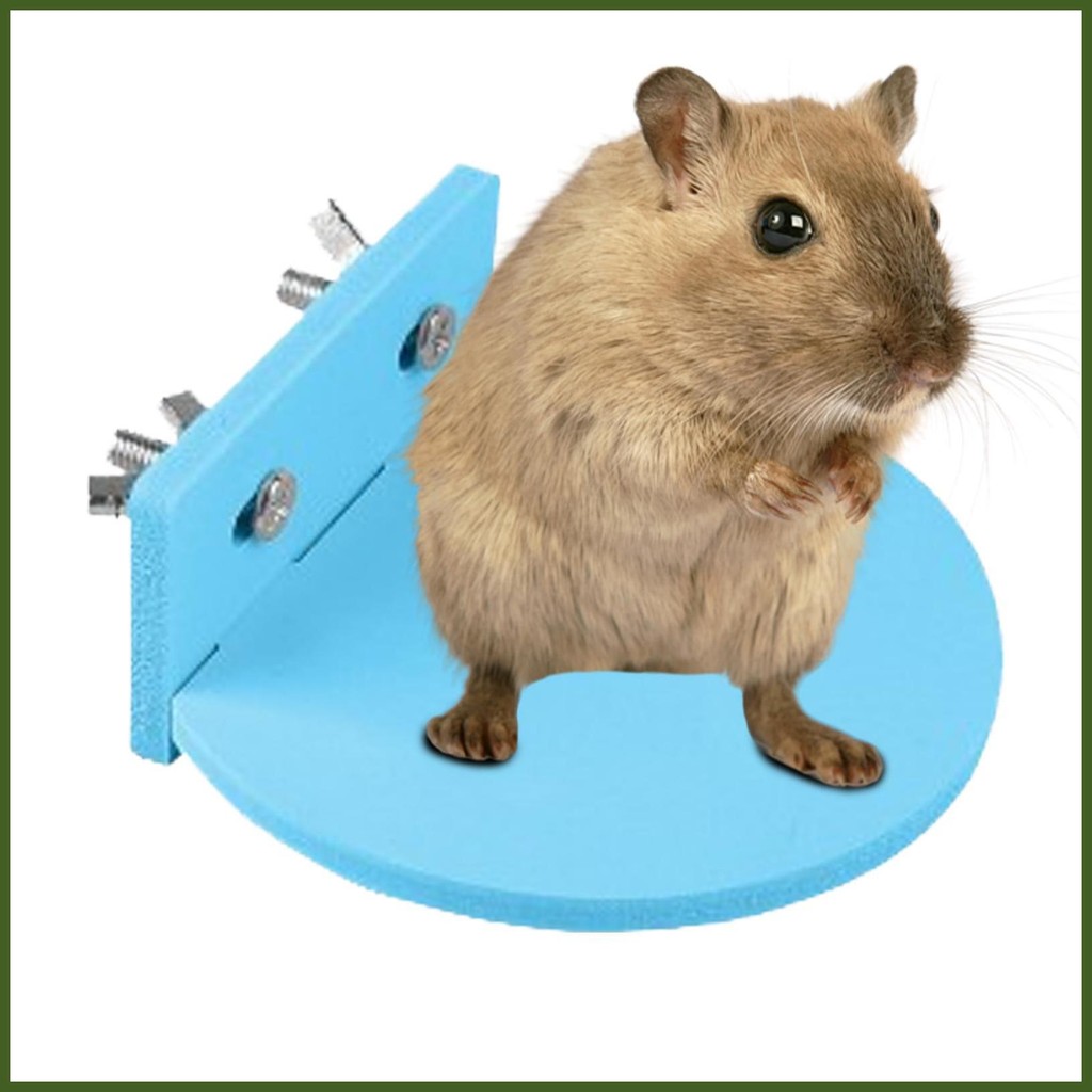Hamster Cage Stand Hamster Anti-slip Cage Board Standing Climbing Pet ...