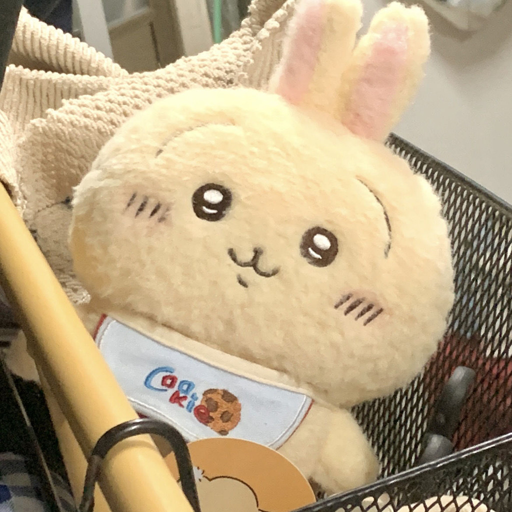 Chiikawa Hairy usagi Hachi Hairy Doll Cute Room Decoration | Shopee ...