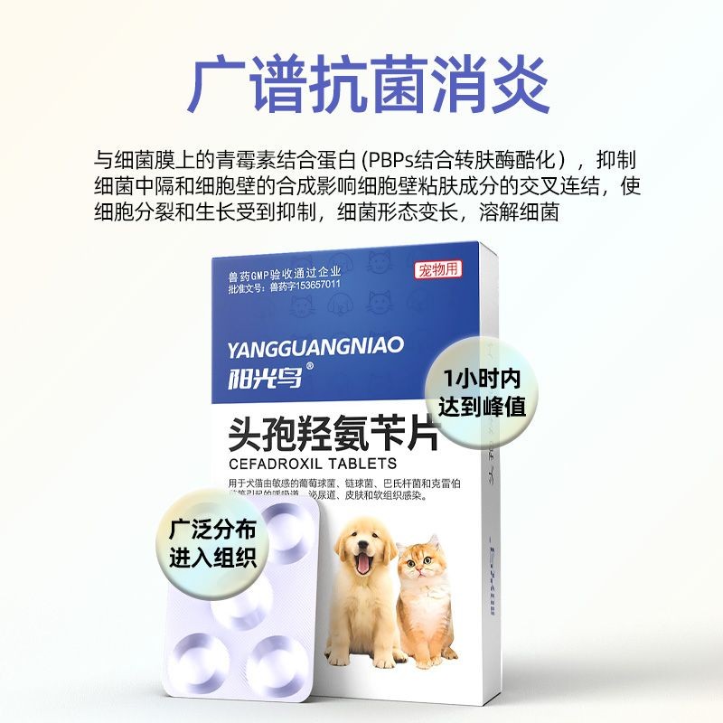 Dog Cat Anti-Inflammatory Medicine Dermatititis Dermatism Pseudomatism ...