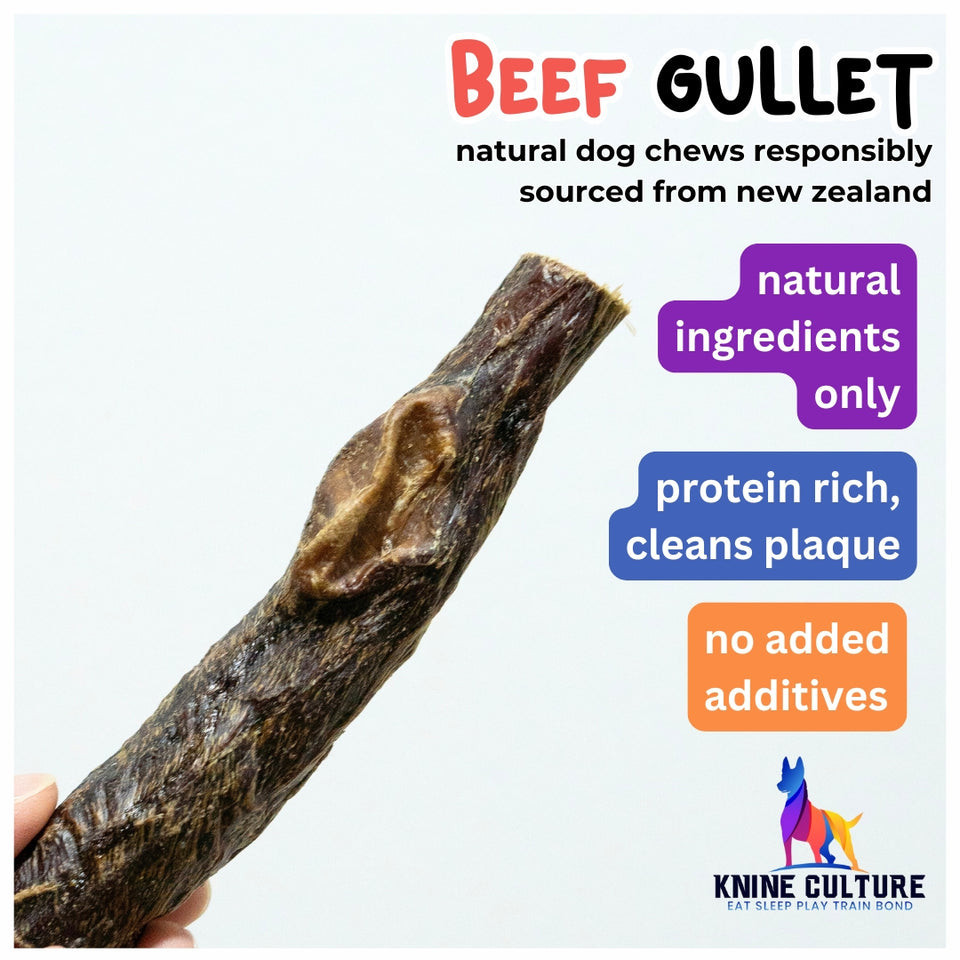 Beef Gullet Sticks ( Natural Dental Chews) (4pc Pack) | Shopee Singapore