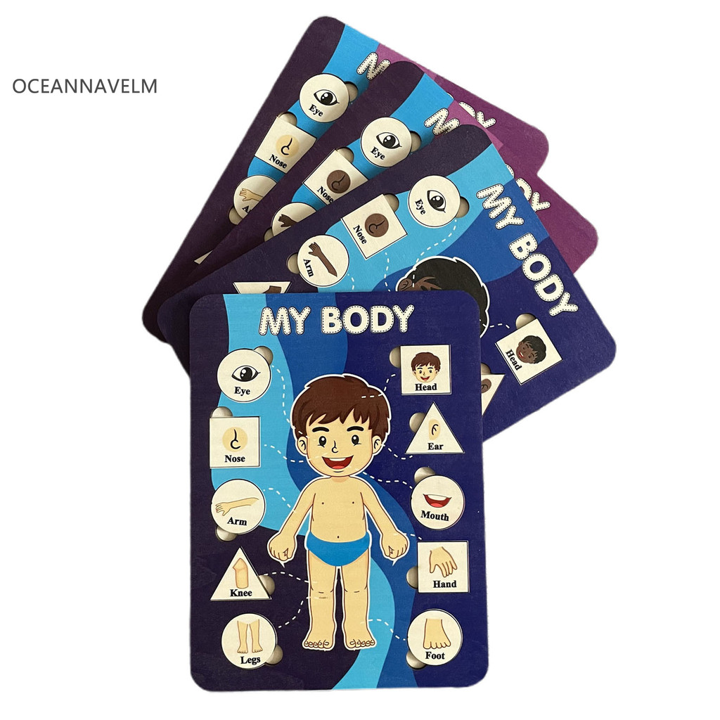 oc Educational Anatomy Puzzle Body Parts Stem Toy Body Puzzle for Kids ...