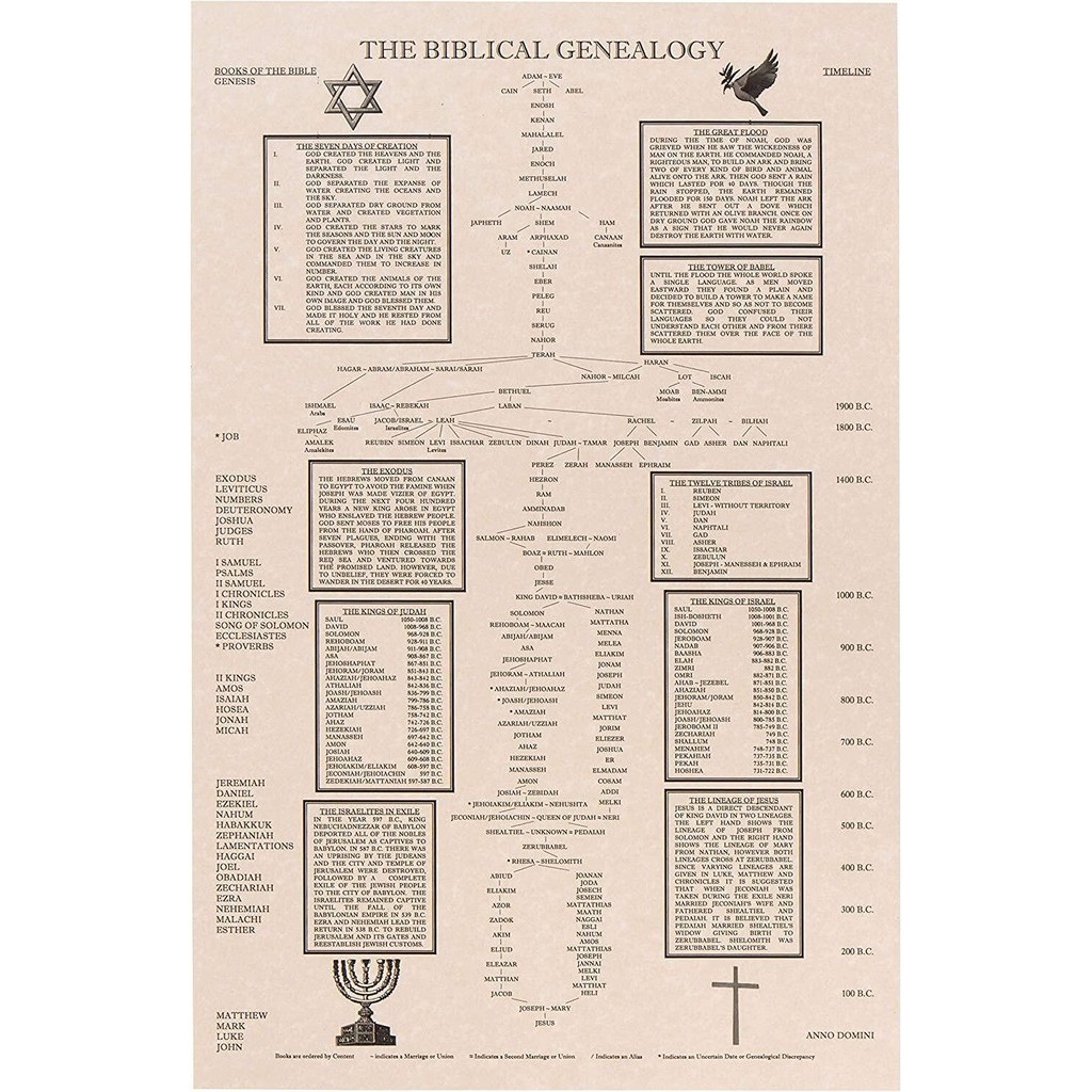 The Biblical Genealogy Chart Family Tree From Adam To Jesus Books of ...