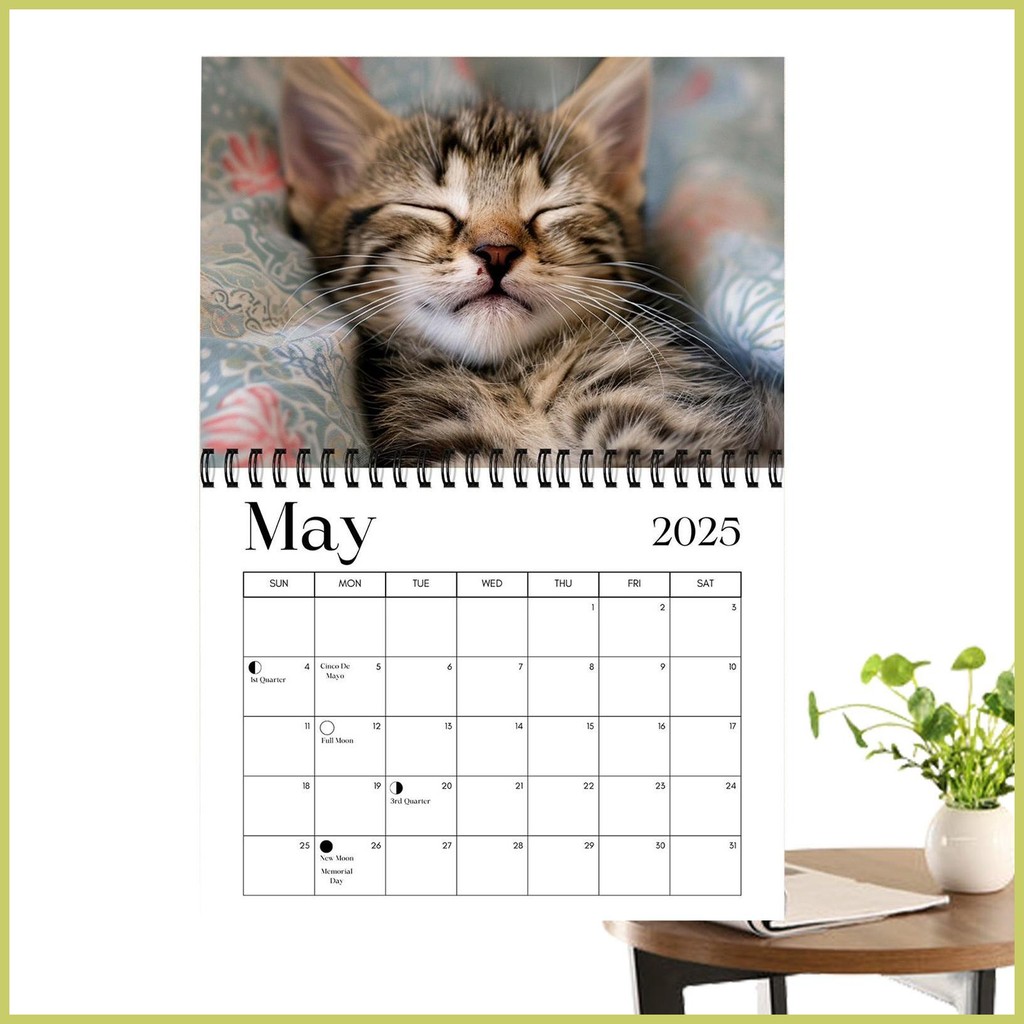 2025 Cat Wall Calendar Kitten Wall Calendar Planner Jan 2025 Dec 2025 ...
