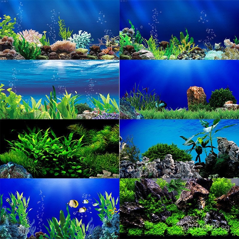Wallpaper Painting Underwater Landscape External Fish Tank Background ...