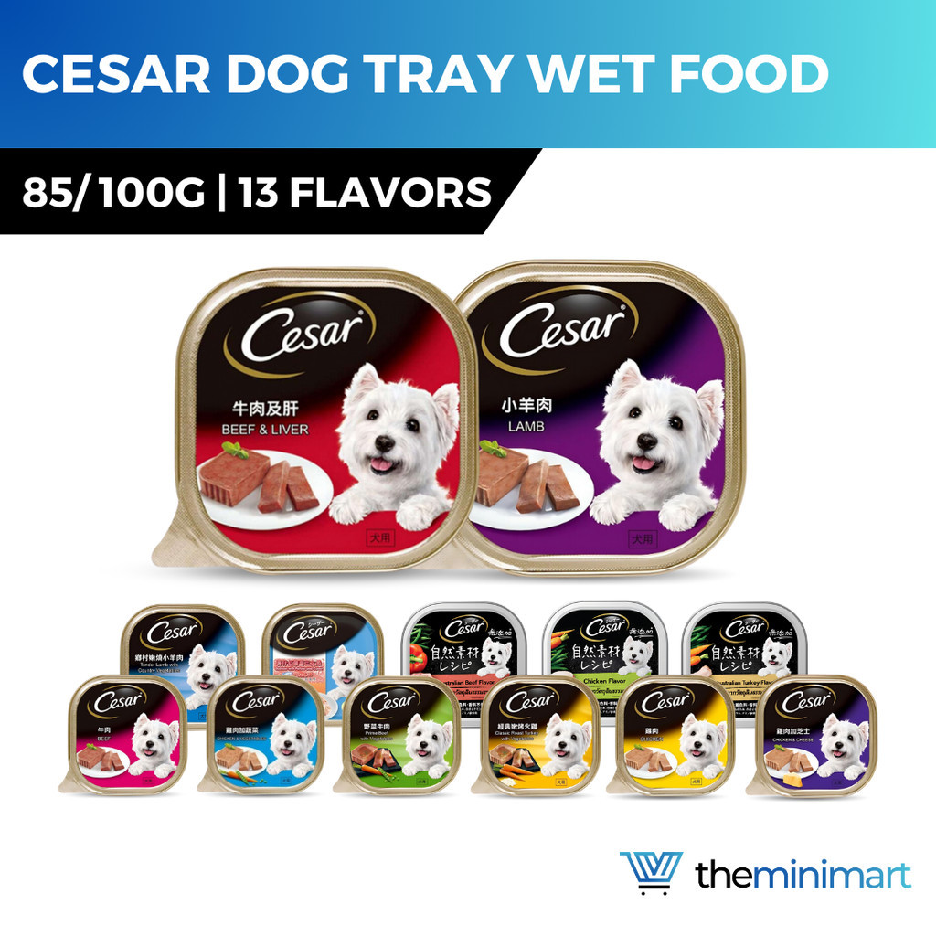 Cesar Dog Food Tray 85g/100g - Beef, Lamb, Chicken, Turkey, Veg, Cheese ...