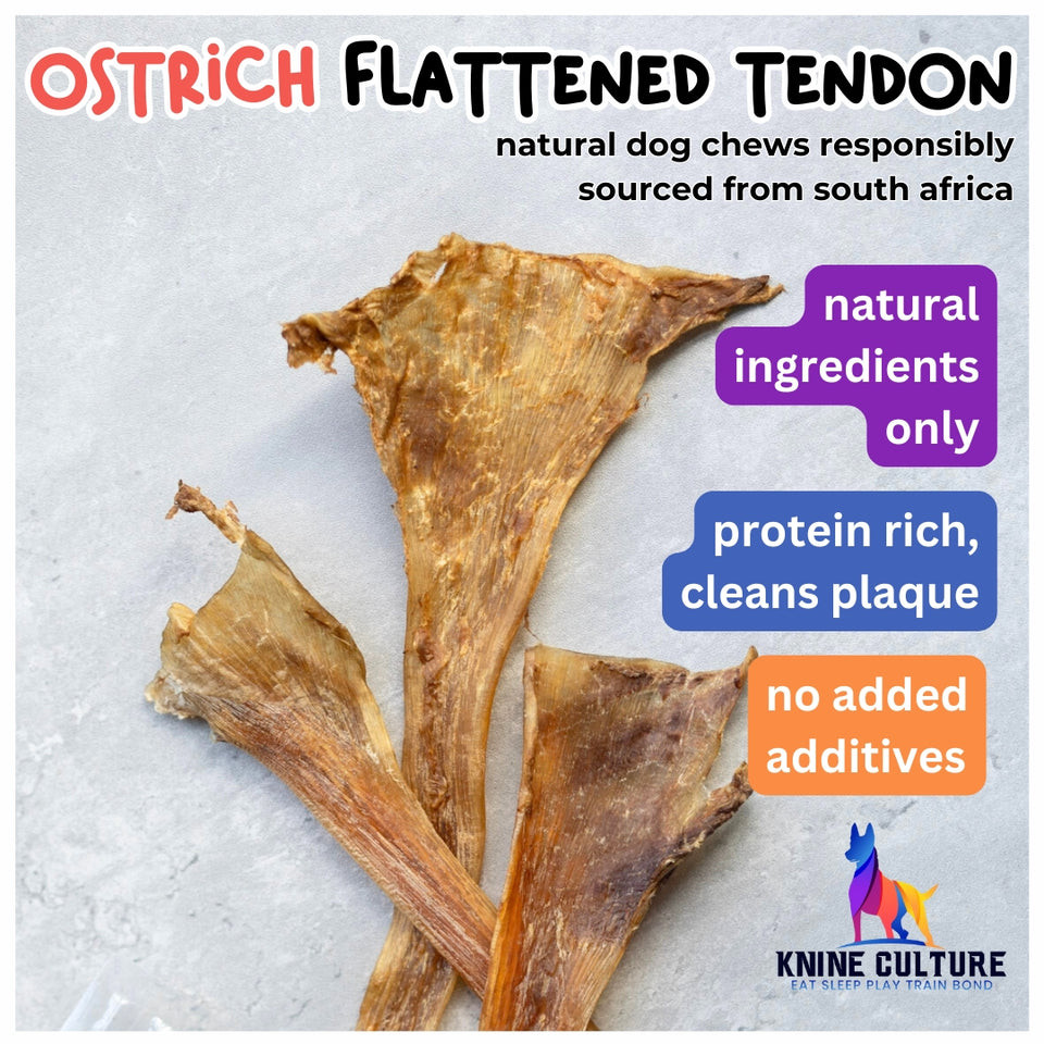 South Africa Ostrich- Flatten Tendon (100g) 5-7pieces - dehydrated ...