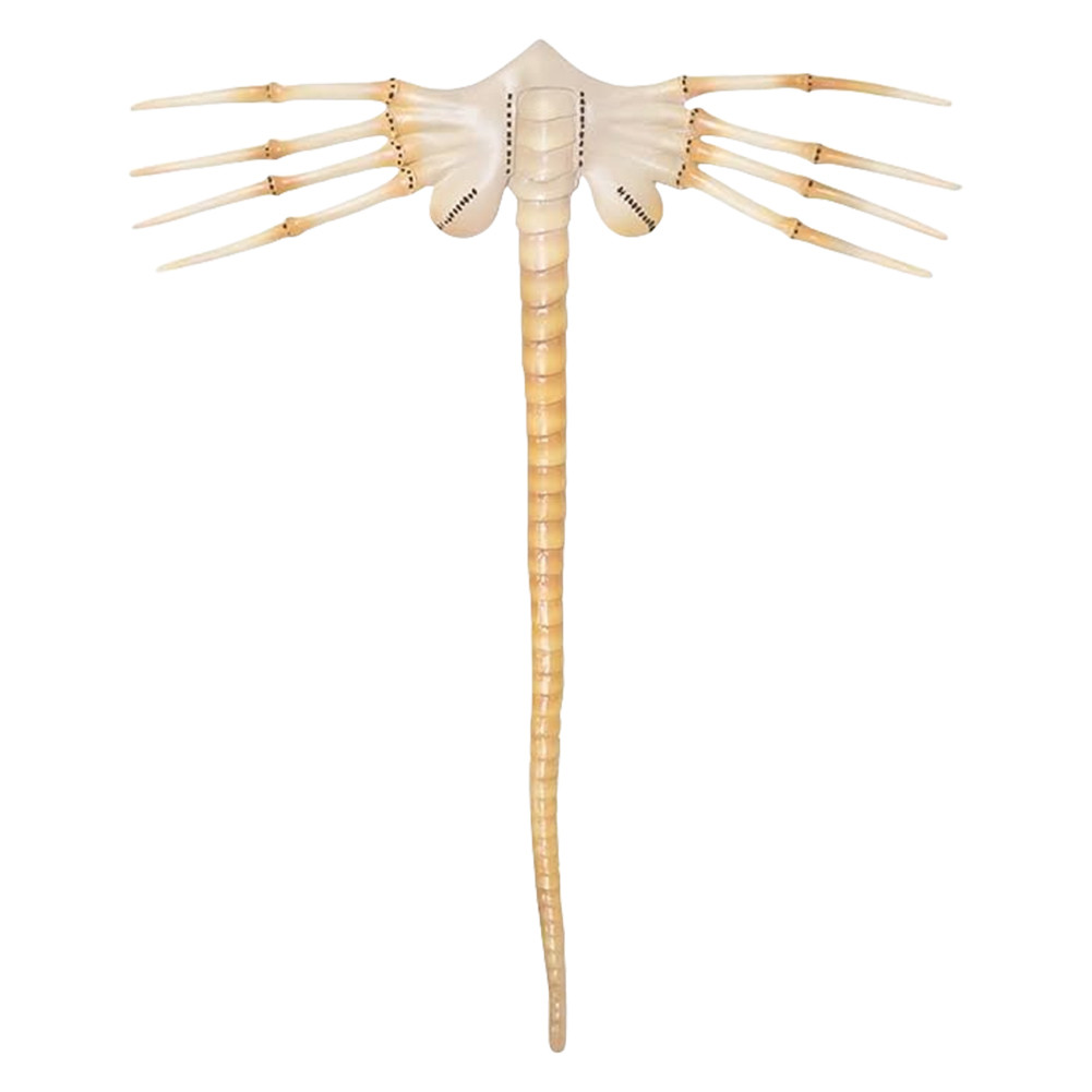 [Freedom01.sg] Halloween Facehugger Scorpion Mask Latex Alien Claws ...