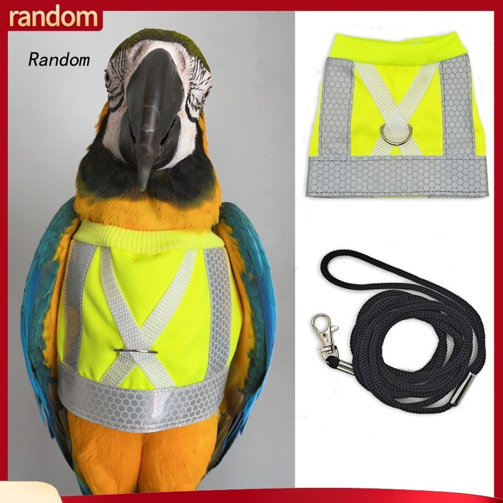 {RM} Bird Flight Harness Vest Parrot Suit with Leash Reflective Vest ...