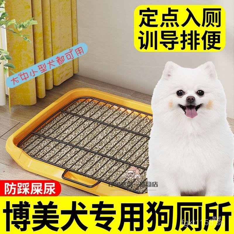 Dog Poop Toilet for Small Dogs, Potty with Stand to Prevent Stepping on ...