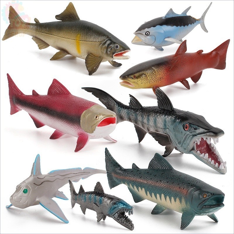 Solid Marine Life Fish Model Salmon Big Mahal Wolfffish Children's ...