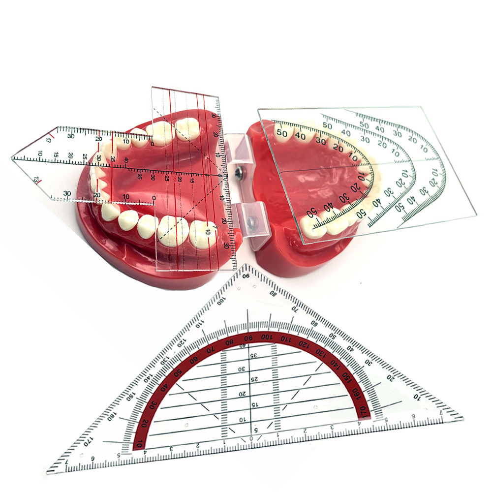 Denture Drawing And Alignment Dental Lab Guide Plate Teeth Arrangement ...