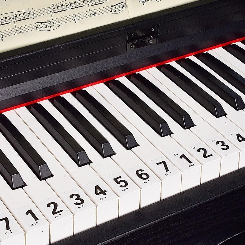 Self-Study Notation 88-Key Piano Keyboard Sticker 37/49/54/61-Key ...