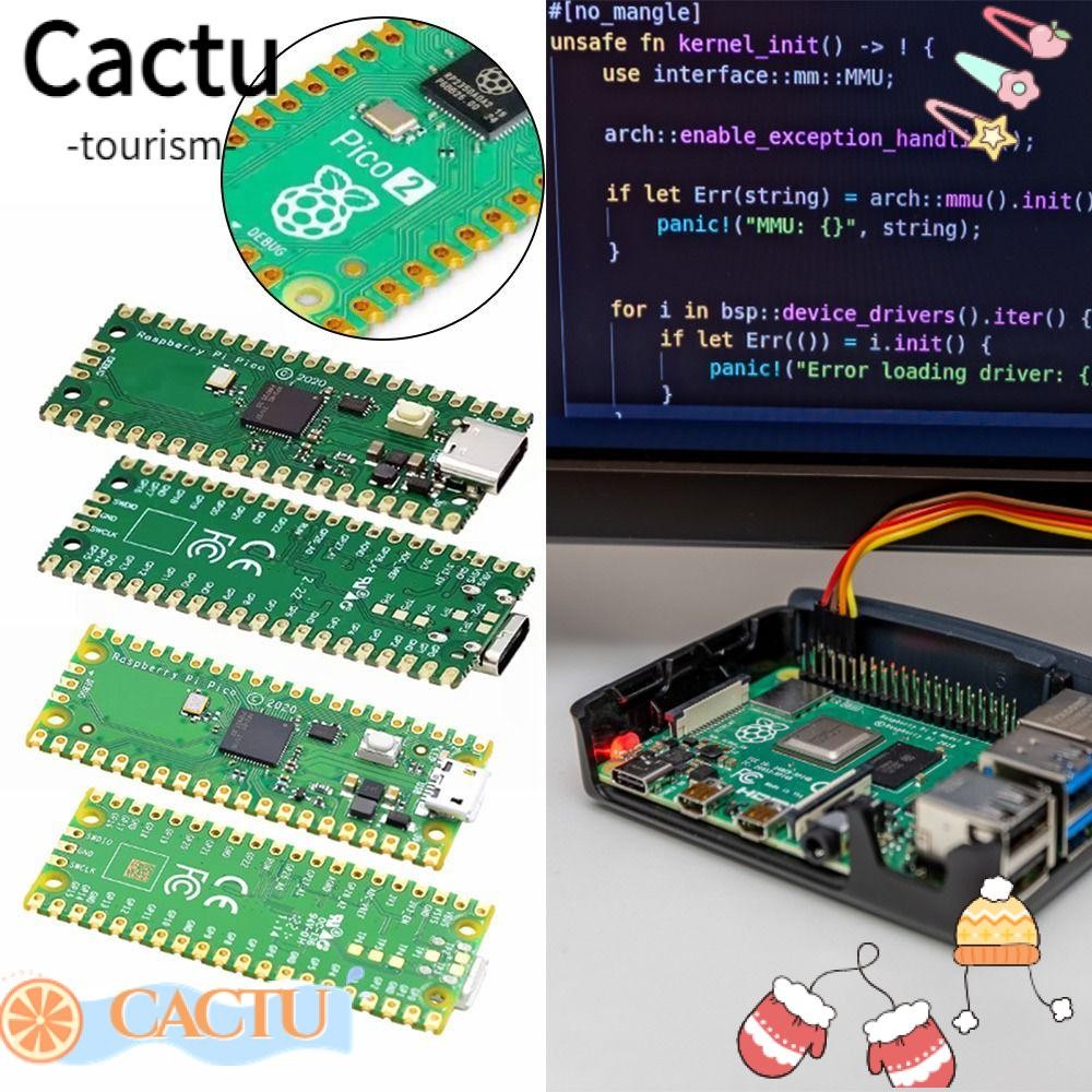 CACTUS Raspberry Pi Pico Board, Original RP2040 Raspberry WiFi Board, Replacement DIY Type-C ...