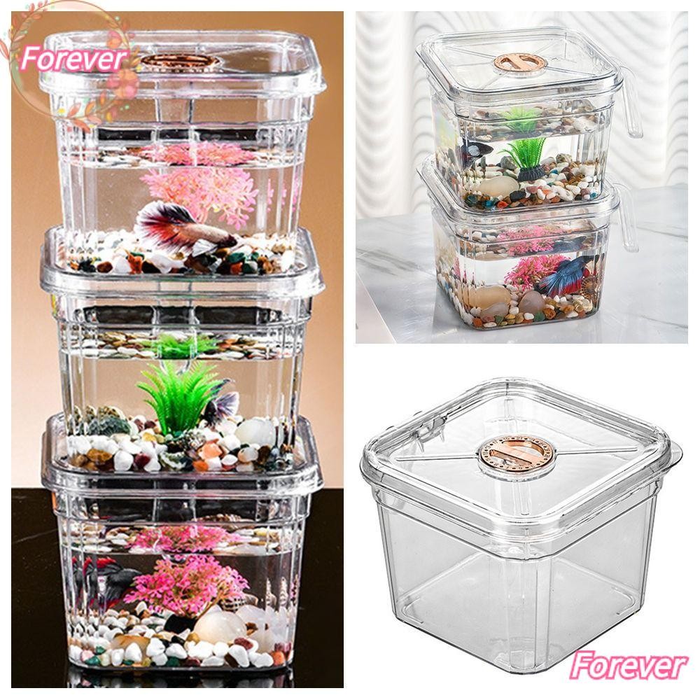 FOREVER Fish Tank, Plastic Square Turtle Tank, Creative Fighting Fish ...