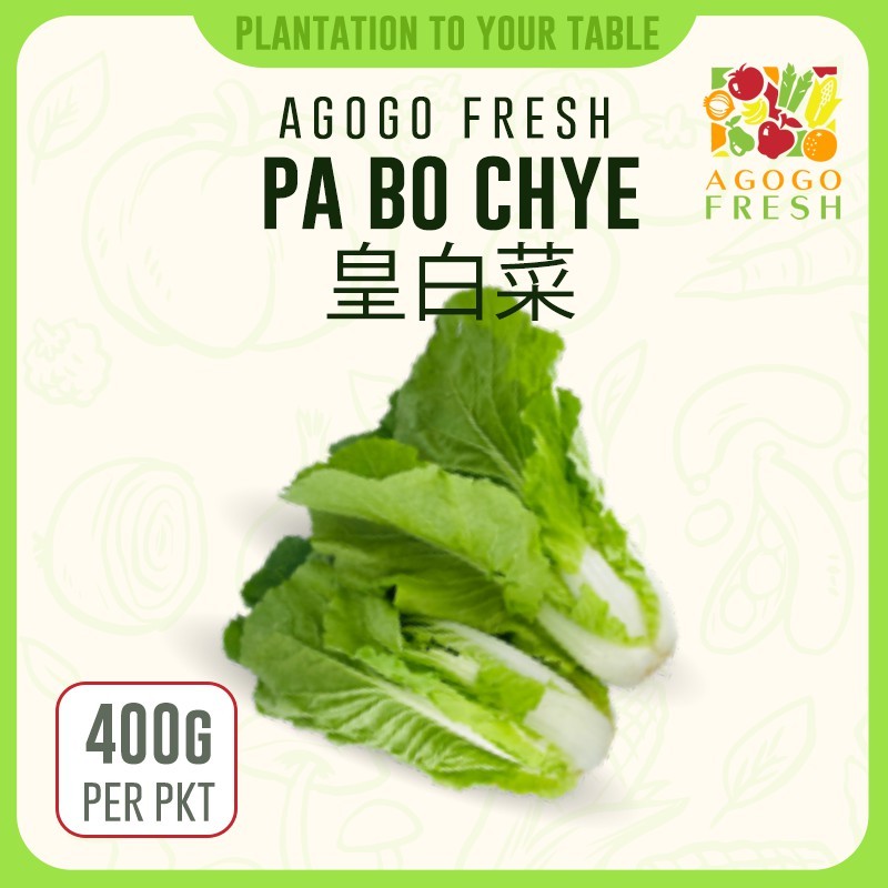 [Agogo Fresh - Vegetables] F05 Pa Bo Chye 皇白菜 (400g) | Shopee Singapore