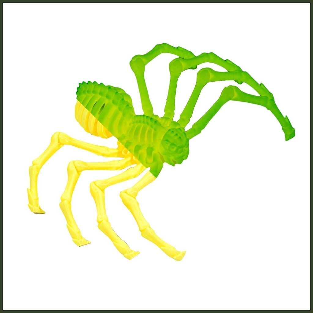 Spider Fidget Toy 3D Printed Movable Joints Spider Fidget Toys Mystery ...