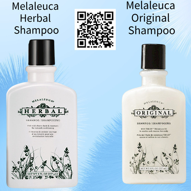 MELALEUCA Travel Size Herbal Shampoo 草本精华 Original Shampoo防脱发 (237ml ...