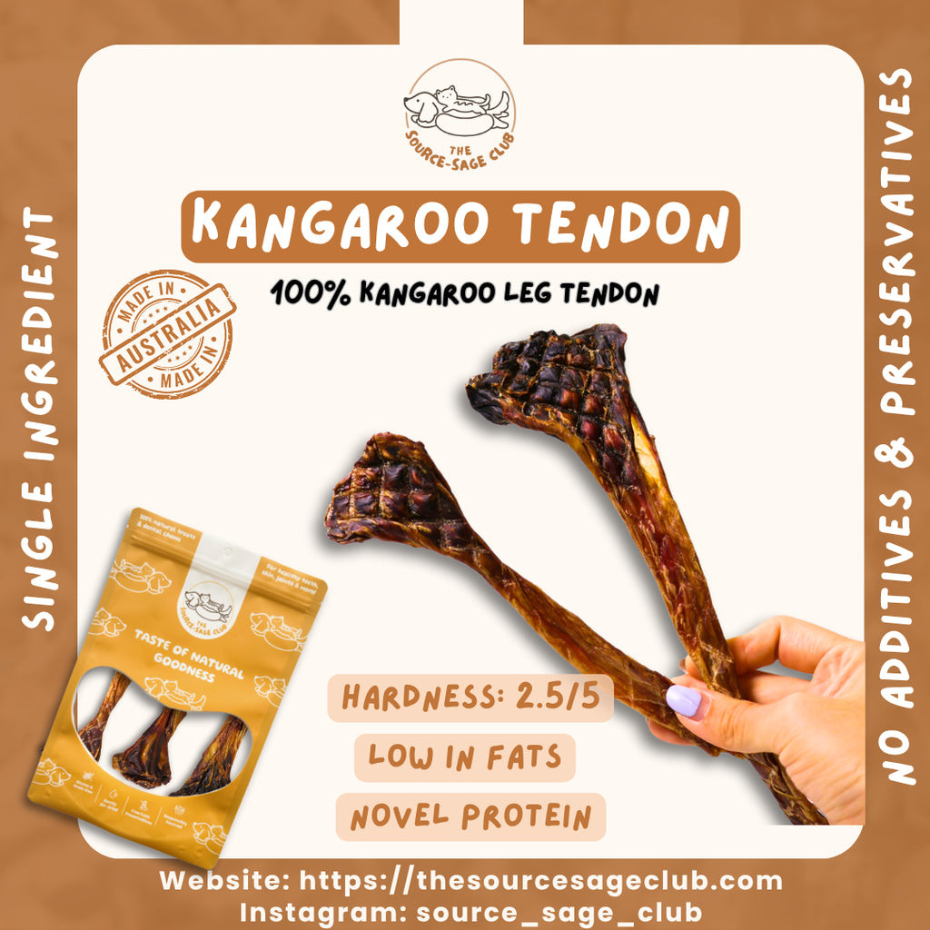 Air Dried Australian Kangaroo Leg Tendon Pop (single ingredient dog ...