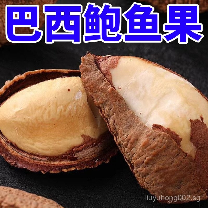 [Brazil Brazil Nut]New Goods Desert Fruit Dry Nuts Roasted Nuts Casual ...