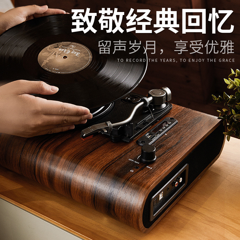 Living Room Light Luxury Multi-Functional Vinyl Record Player Retro ...