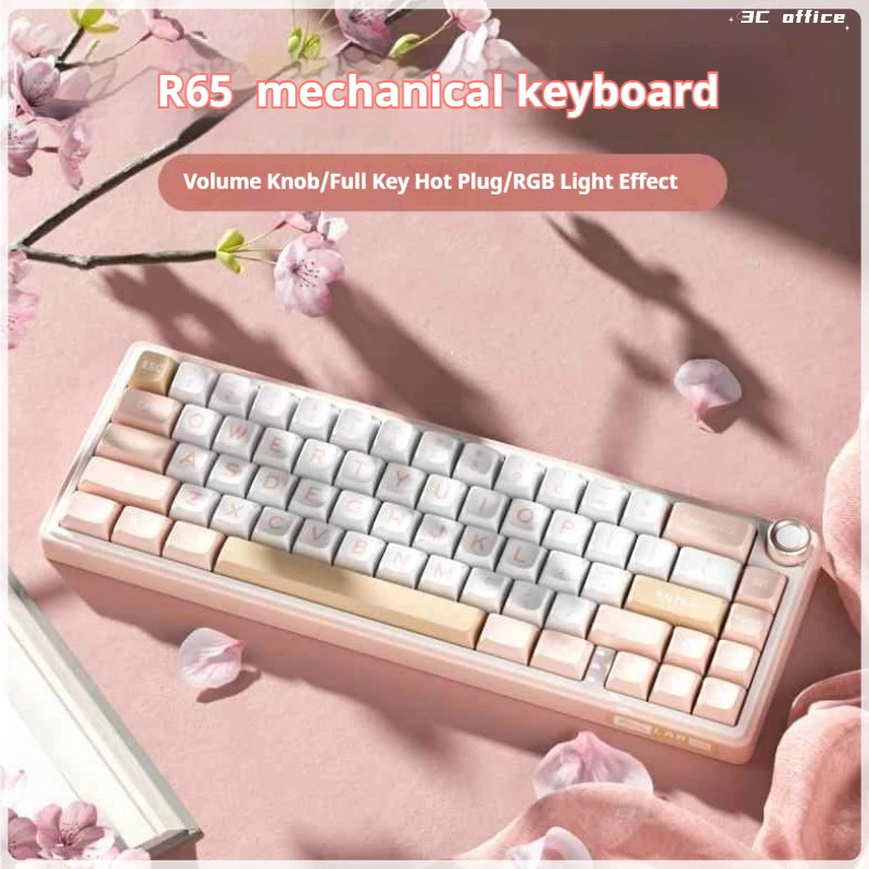 RK R65 3mode Mechanical Keyboard65% Layout with Knob Hot Swappable 6 ...