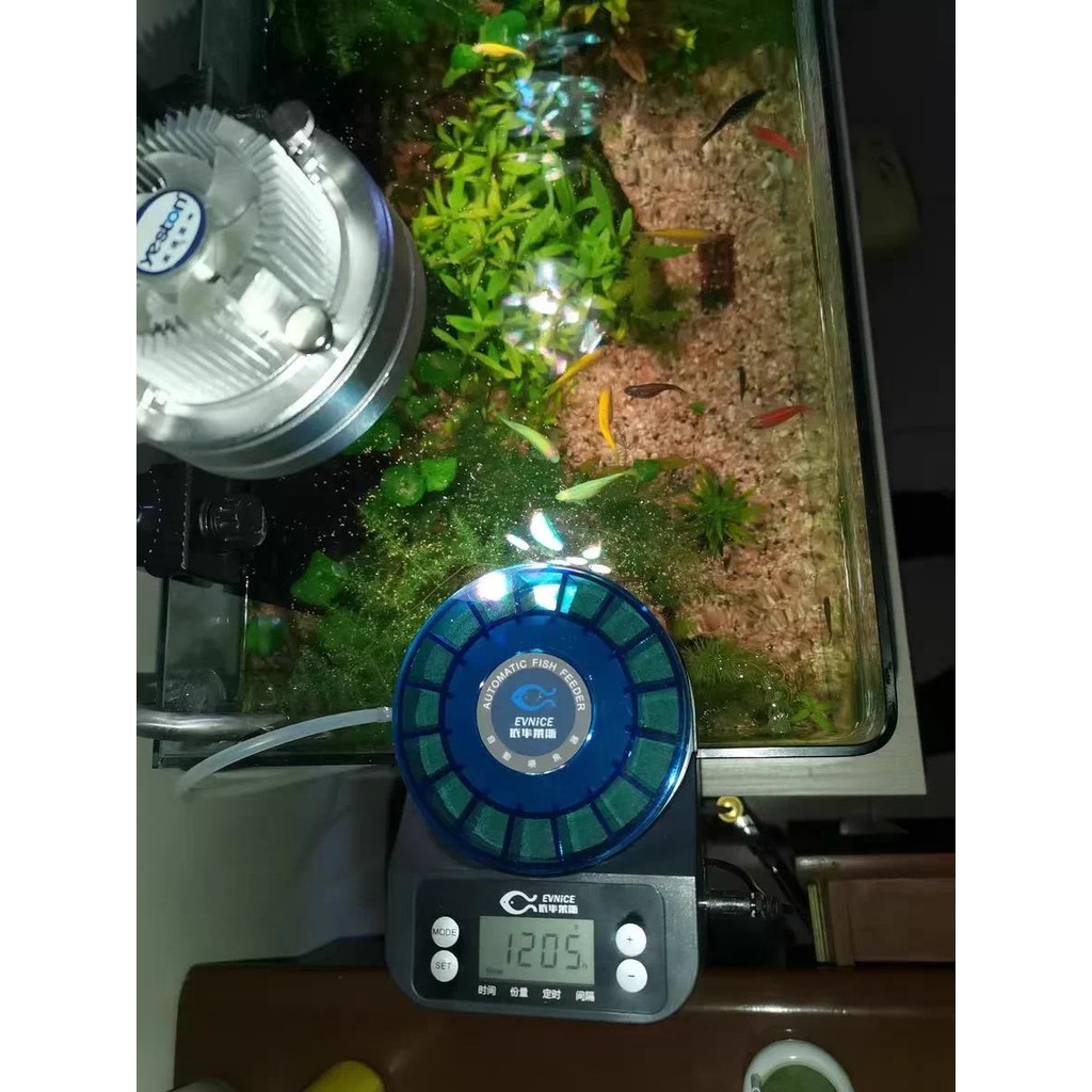 Aquarium Automatic fish feeder Timing fish auto feeder fish food ...