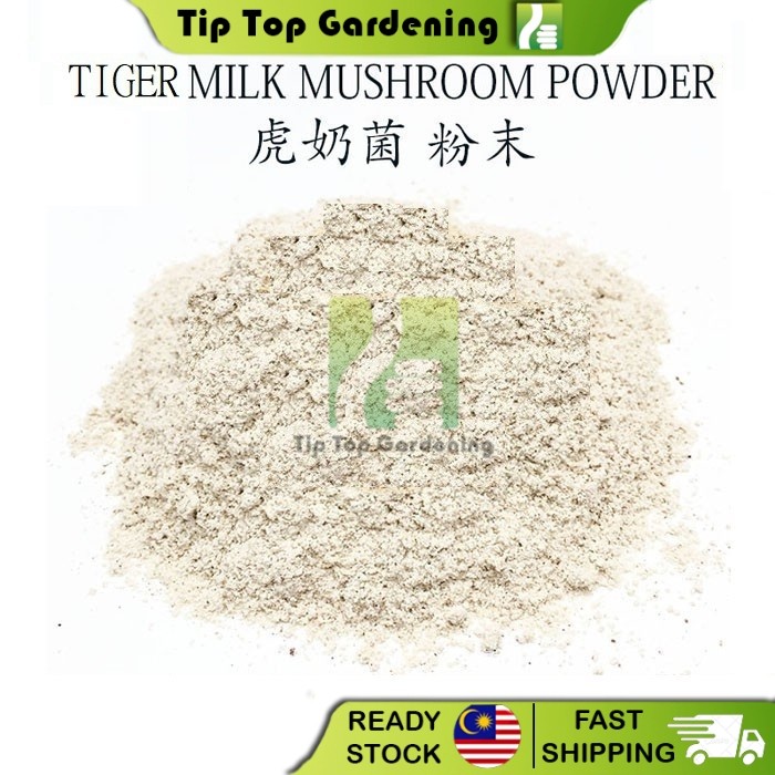 WILD TIGER MILK MUSHROOM POWDER 80 G 虎奶菌 粉末 MALAYSIA READY STOCK ...