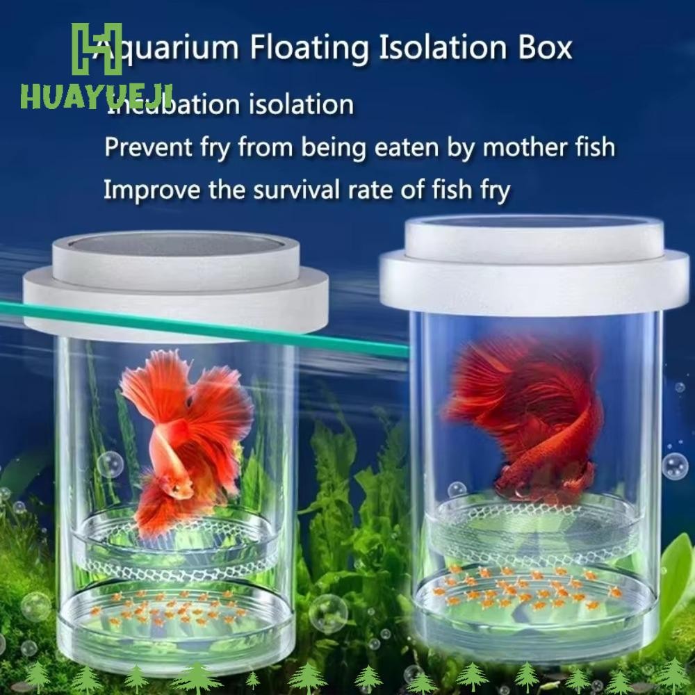 HUAYUEJI Floating Fish Breeding Isolation Box, Aquarium Breeder Shrimp ...