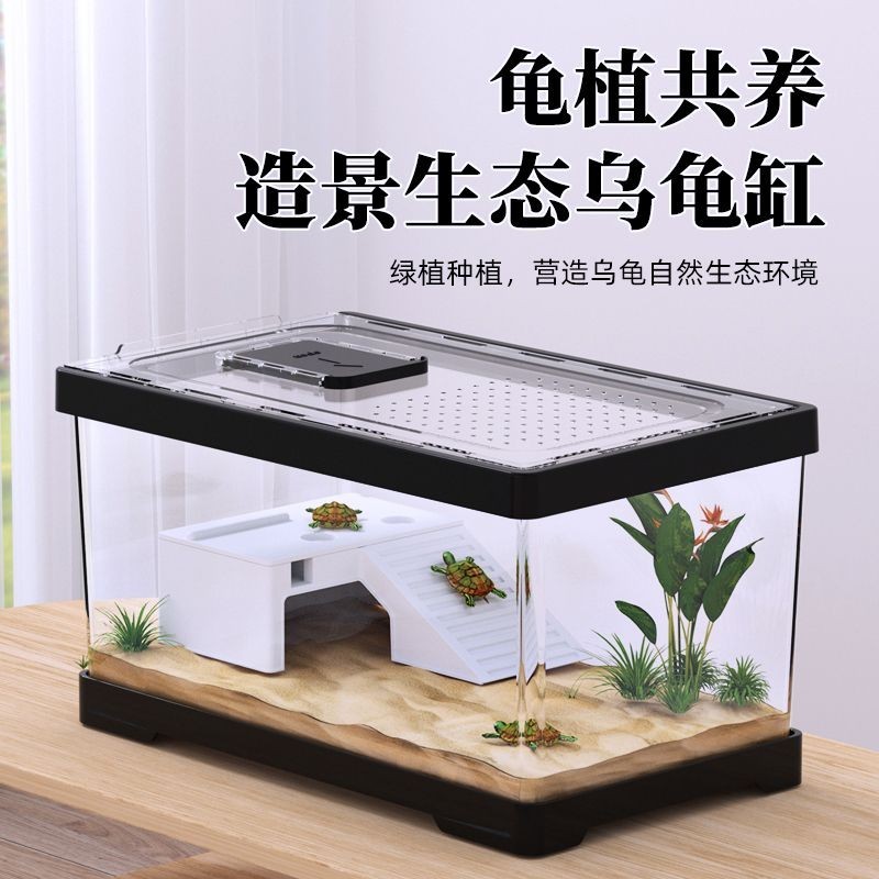 Turtle Jar Ecological Pot Small Brazilian Turtle Amphibious Household ...