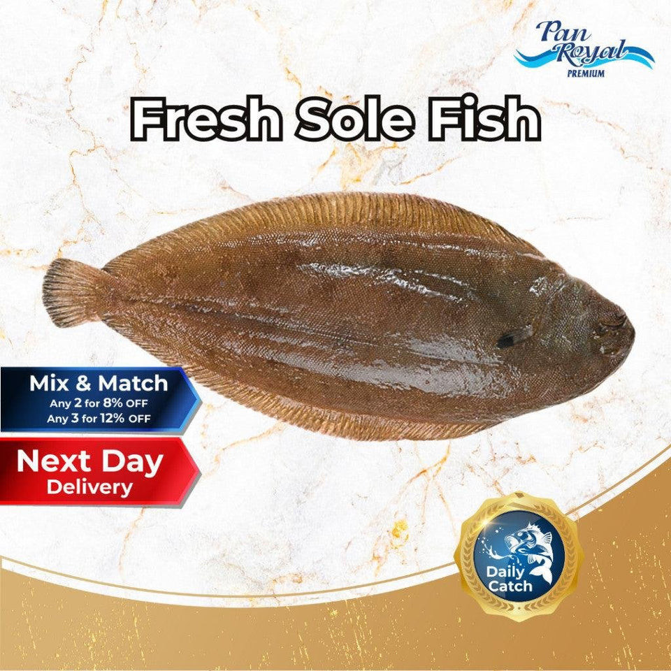 [PAN ROYAL] Fresh Sole Fish (800g +/-) | Shopee Singapore