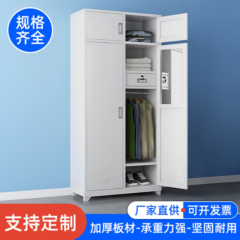 Standard double door internal cabinet, item storage cabinet, single ...