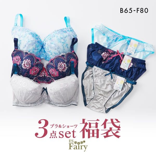 ES Fairy Bra and Panty Lucky Bag (3 Sets, Sizes B-F)(17FUKU6205)(Direct from Japan)1 | Shopee ...