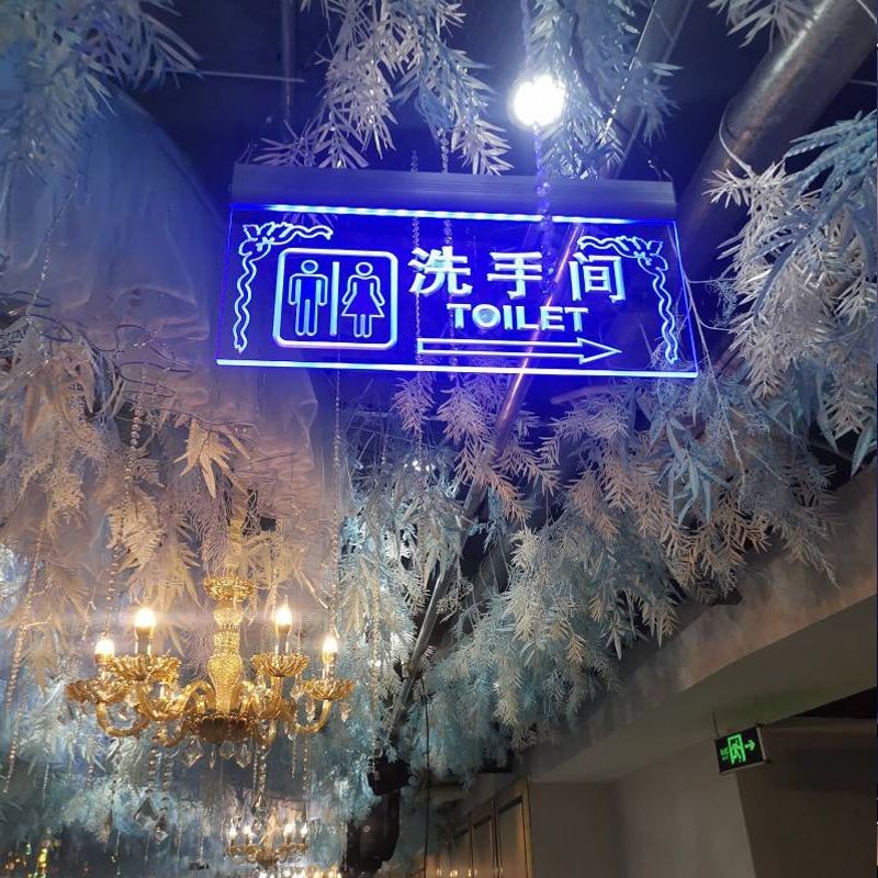 Hot-sale products LED Light Acrylic Luminous Toilet Signage Toilet ...