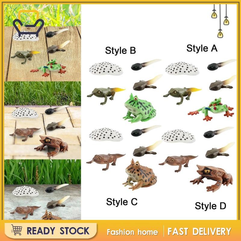 [Happi2ness] Frogs Life Cycle Model Life Cycle Figurines Learning Prop ...