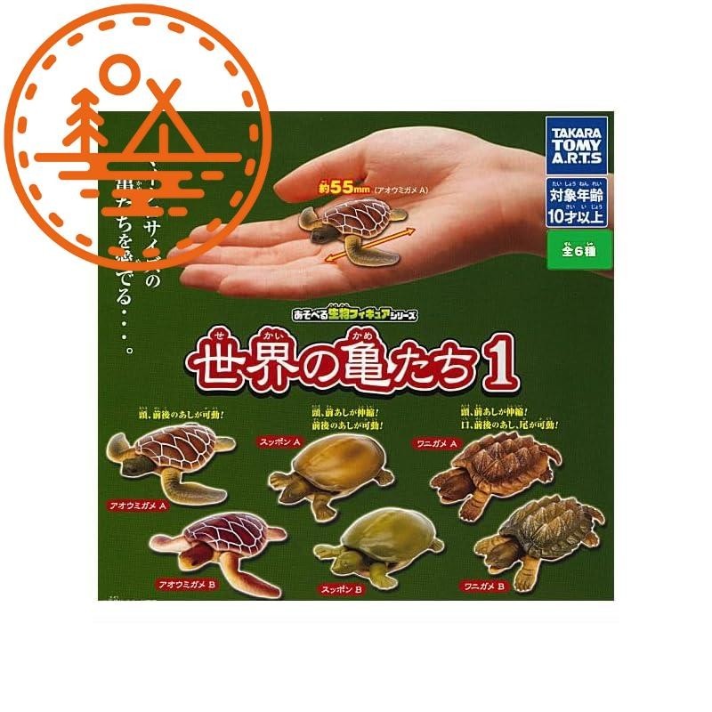 Playable creature figure series "World Turtles 1" [Complete Set of 6 ...