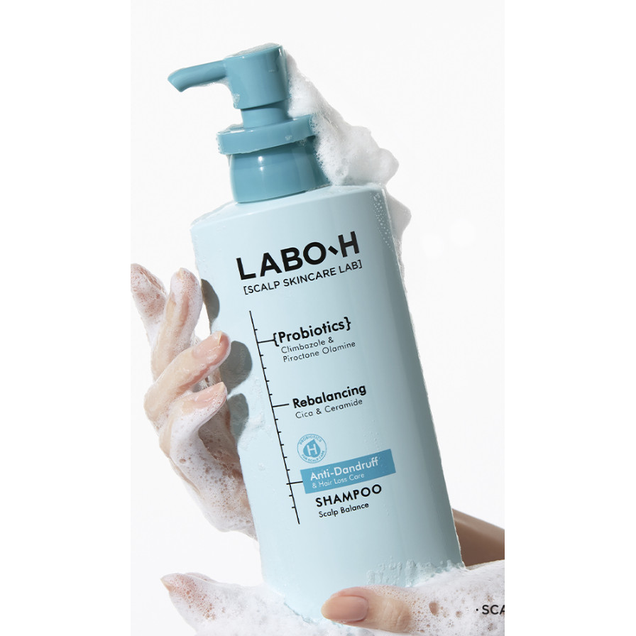 LaboH Anti Dandruff & Hair Loss Care Shampoo, 750ml, Rebalancing Caca ...