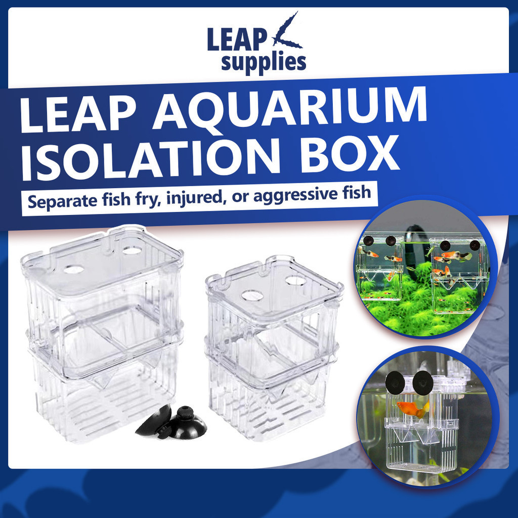 LEAP Aquarium Isolation Box | Fish Fry Breeding Tank | Floating ...