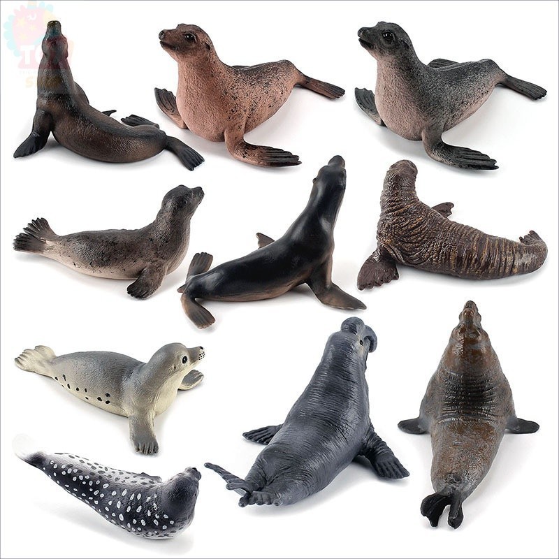 Simulation Marine Life Model Set Solid Seal Sea Lion Walrus Static ...