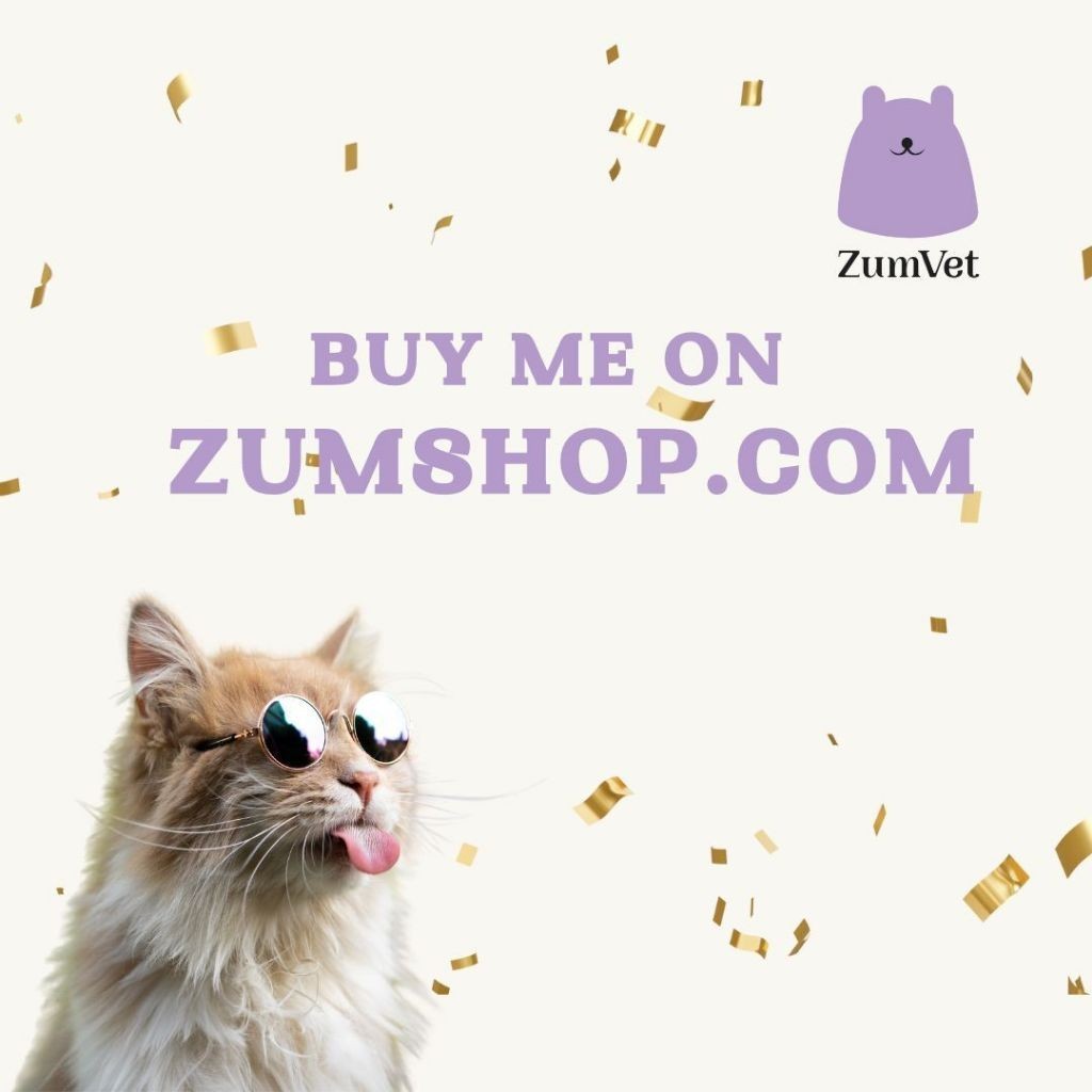 [SG stock] Activated Charcoal 250mg Tablet (Diarrhea/Toxin/Poison ...