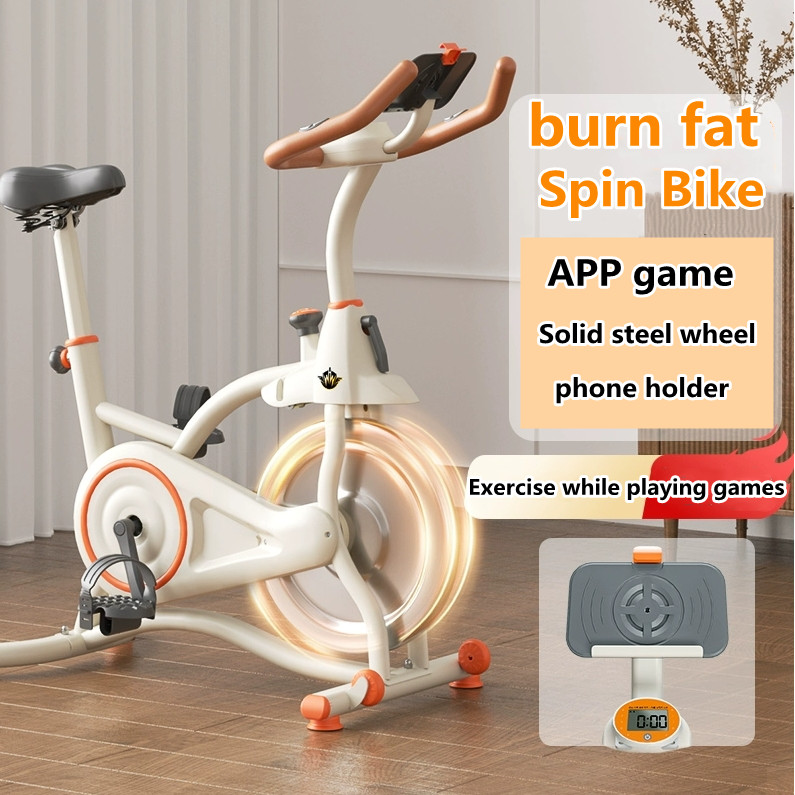 FlyWheel Spin Bike Professional Home Gym Women Man Fitness Exercise ...