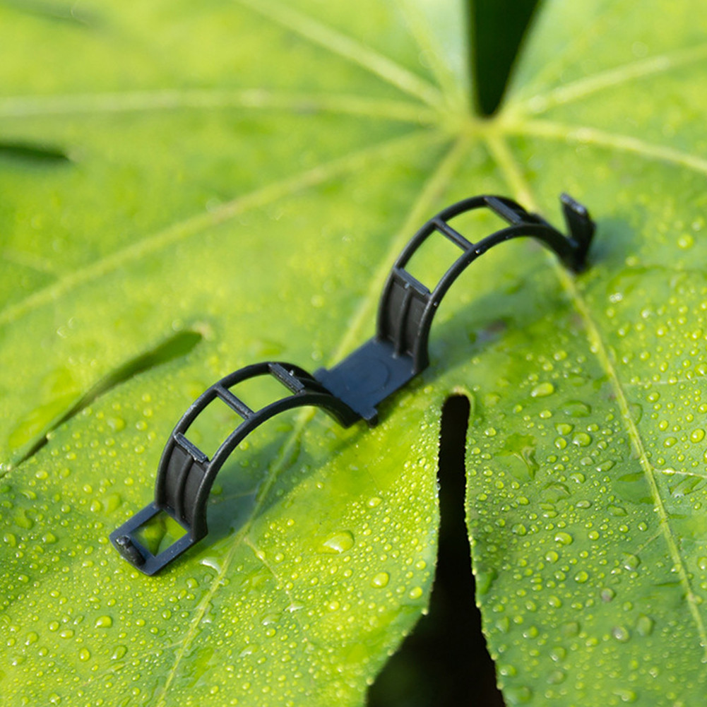 100/200Pcs Plant Vine Protection Grafting Fixing Tool Plastic Plant ...