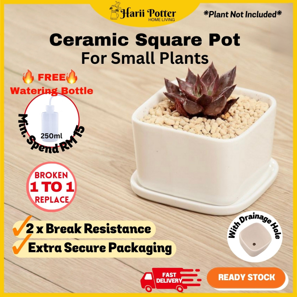 Aesthetic Ceramic Square Pot For Succulent Cactus Small Plant Flower ...