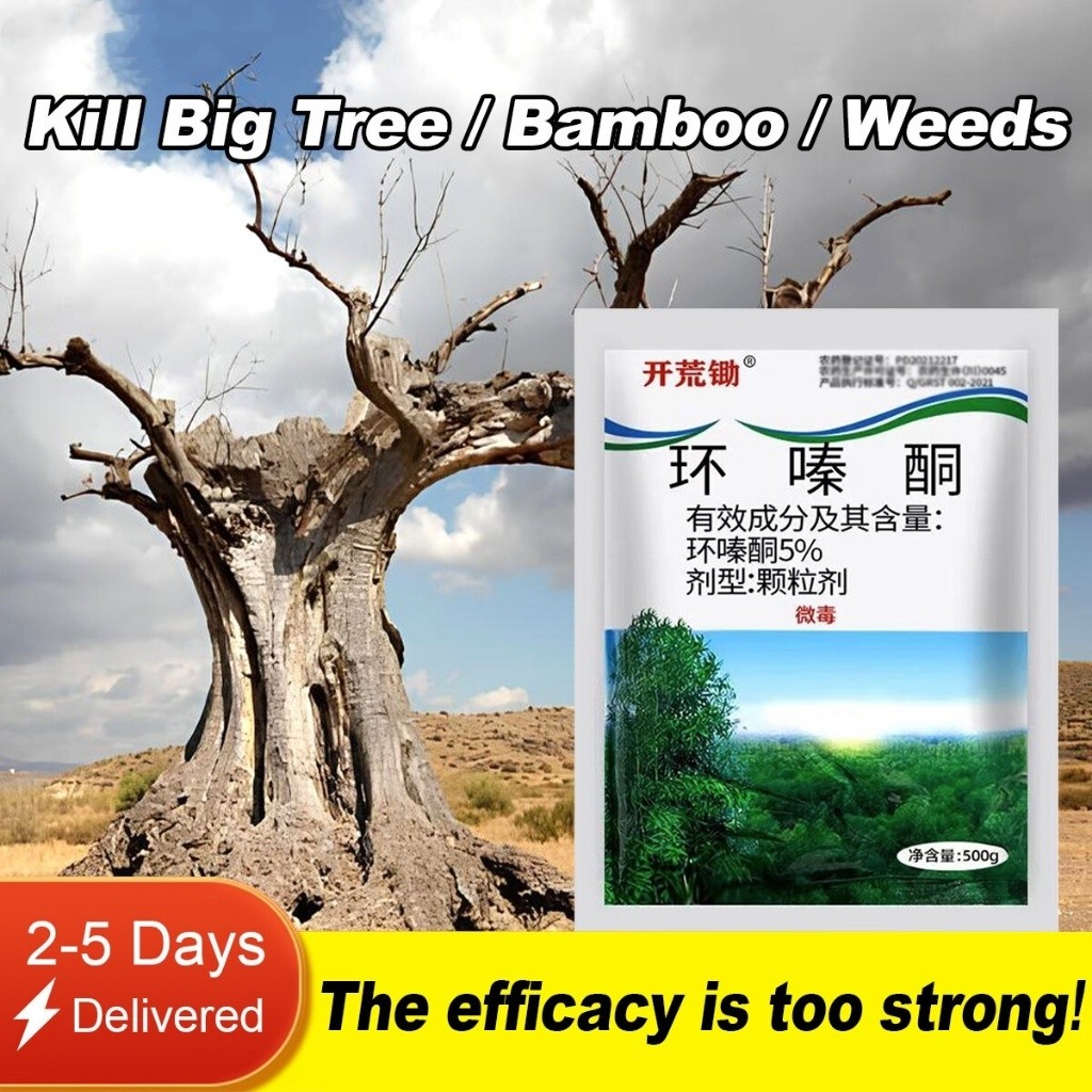 Chemical to Kill big tree roots and bamboo Effective weed control ...