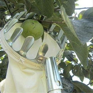 Fruit Hook Tool High Tree Fruit Picker With Cloth Sheath Mango Fruit ...